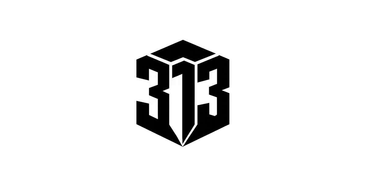 MEN OF 313